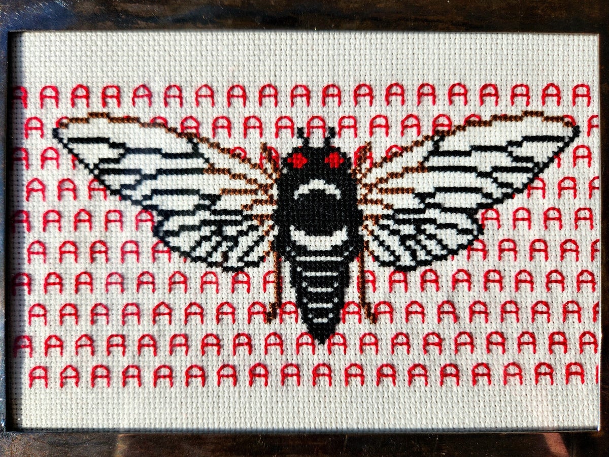 AAAAAAAAAAAAAAAAAAA | MLTSHP