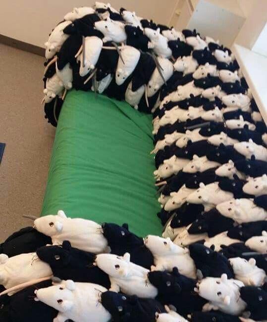 Used couch, squeaks a bit | MLTSHP