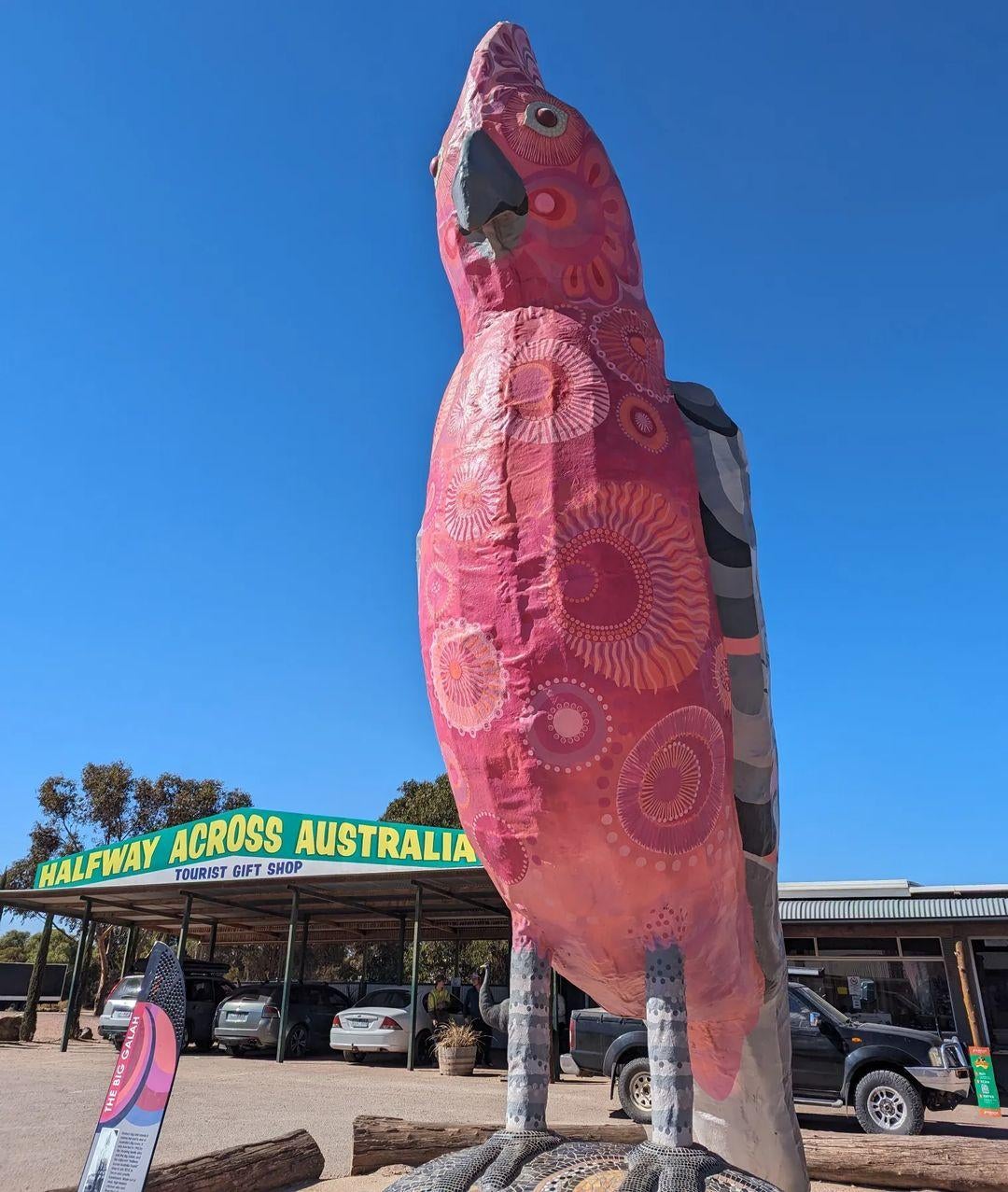 The Big Galah, Kimba, SA | MLTSHP