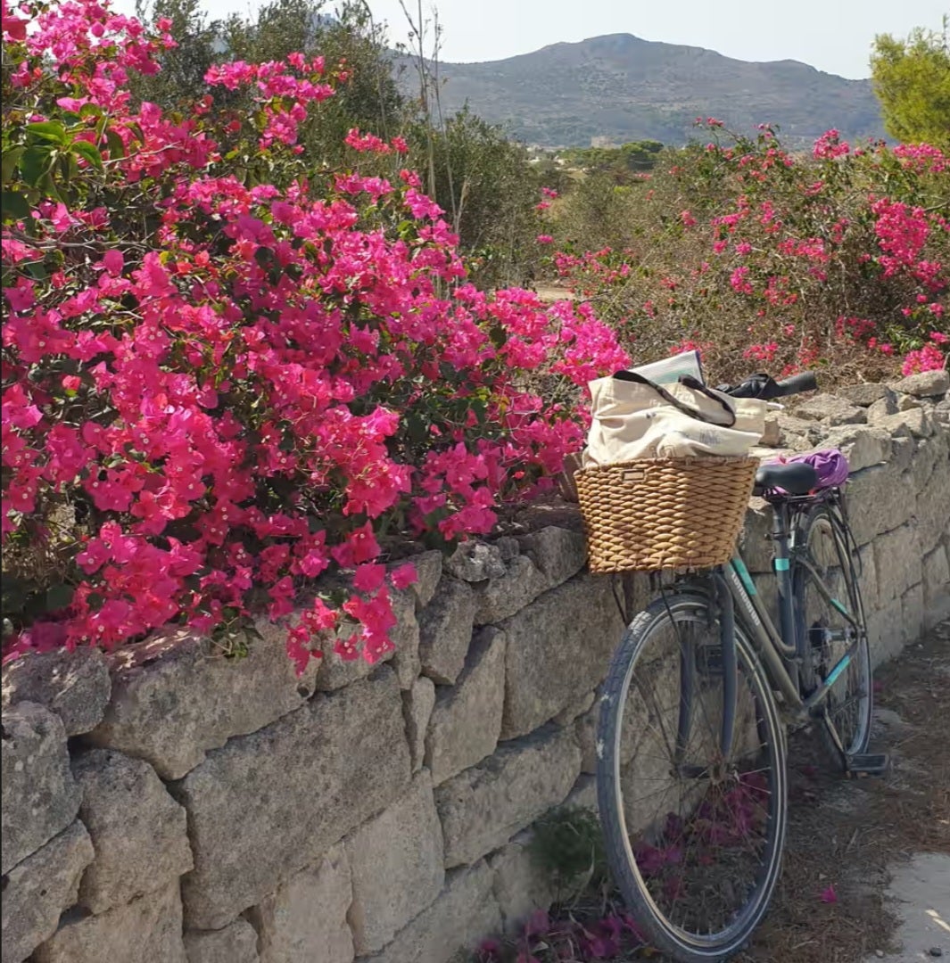 Typische Travel Photo, but... | MLTSHP