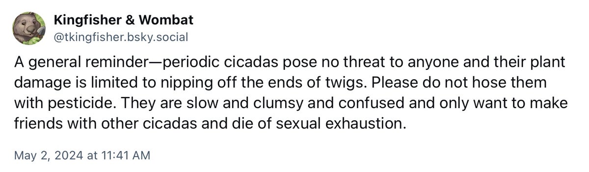 i feel seen | MLTSHP