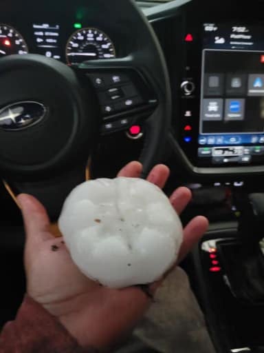 I Hail From Oklahoma | MLTSHP