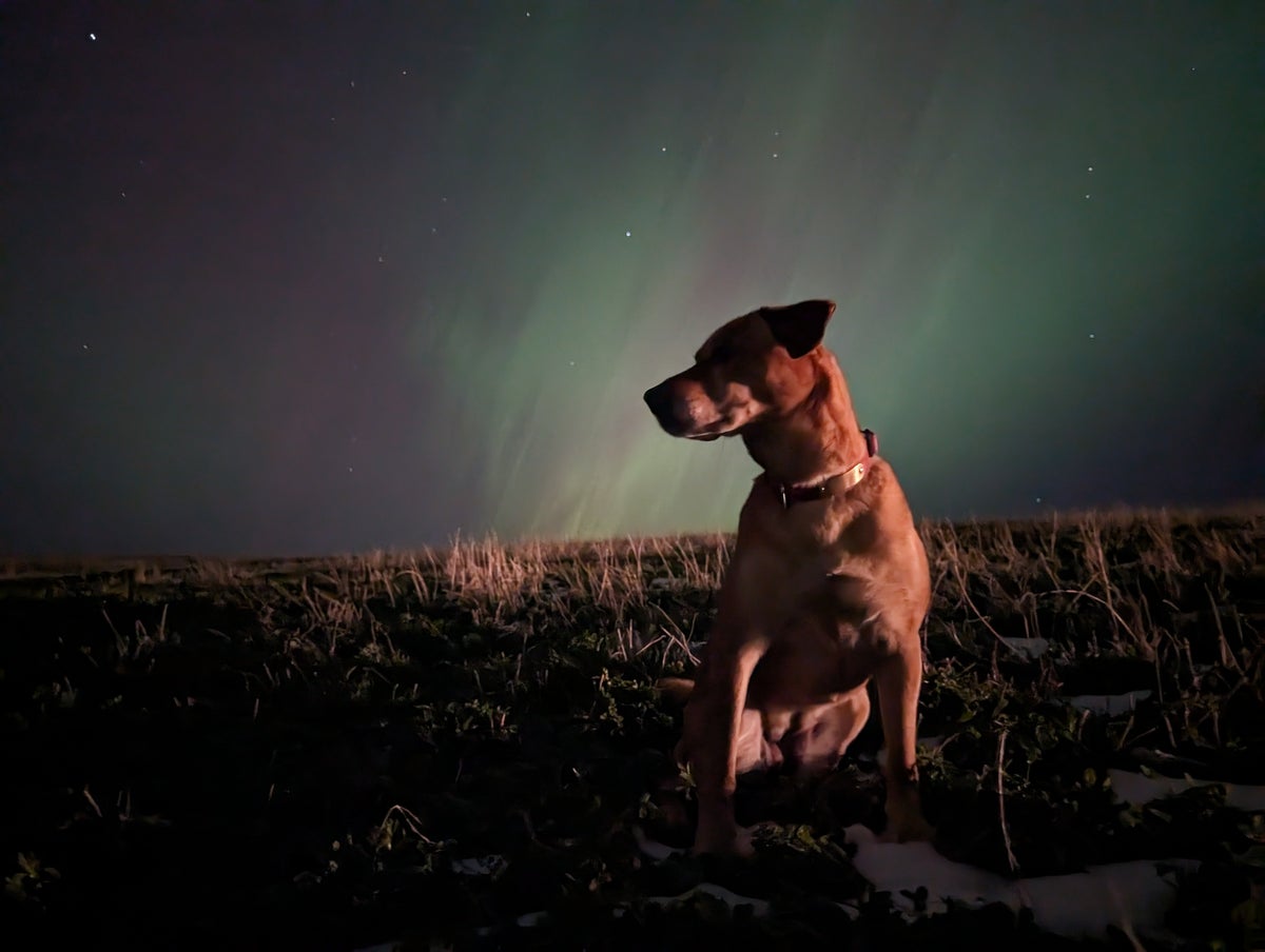 45th Parallel | MLTSHP