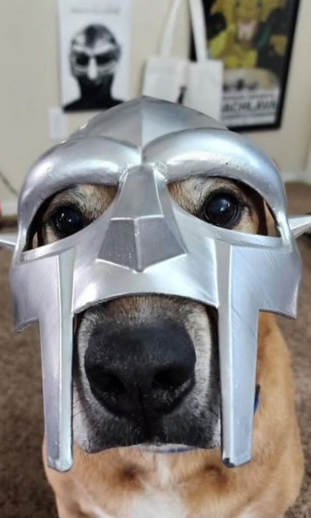 just remember all caps when you spell the pup's name | MLTSHP