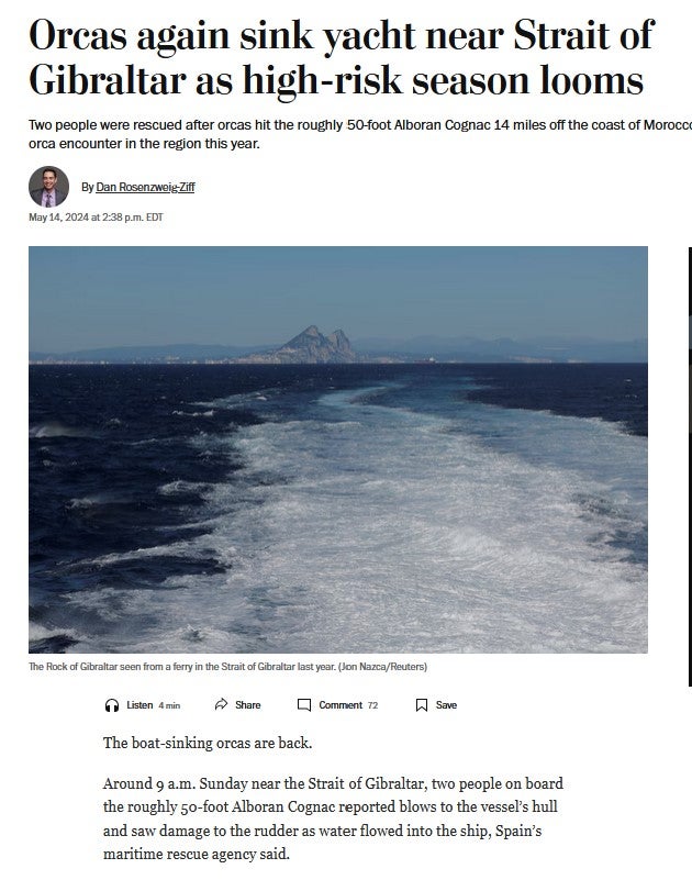 No humans were harmed in the sinking of this yacht | MLTSHP