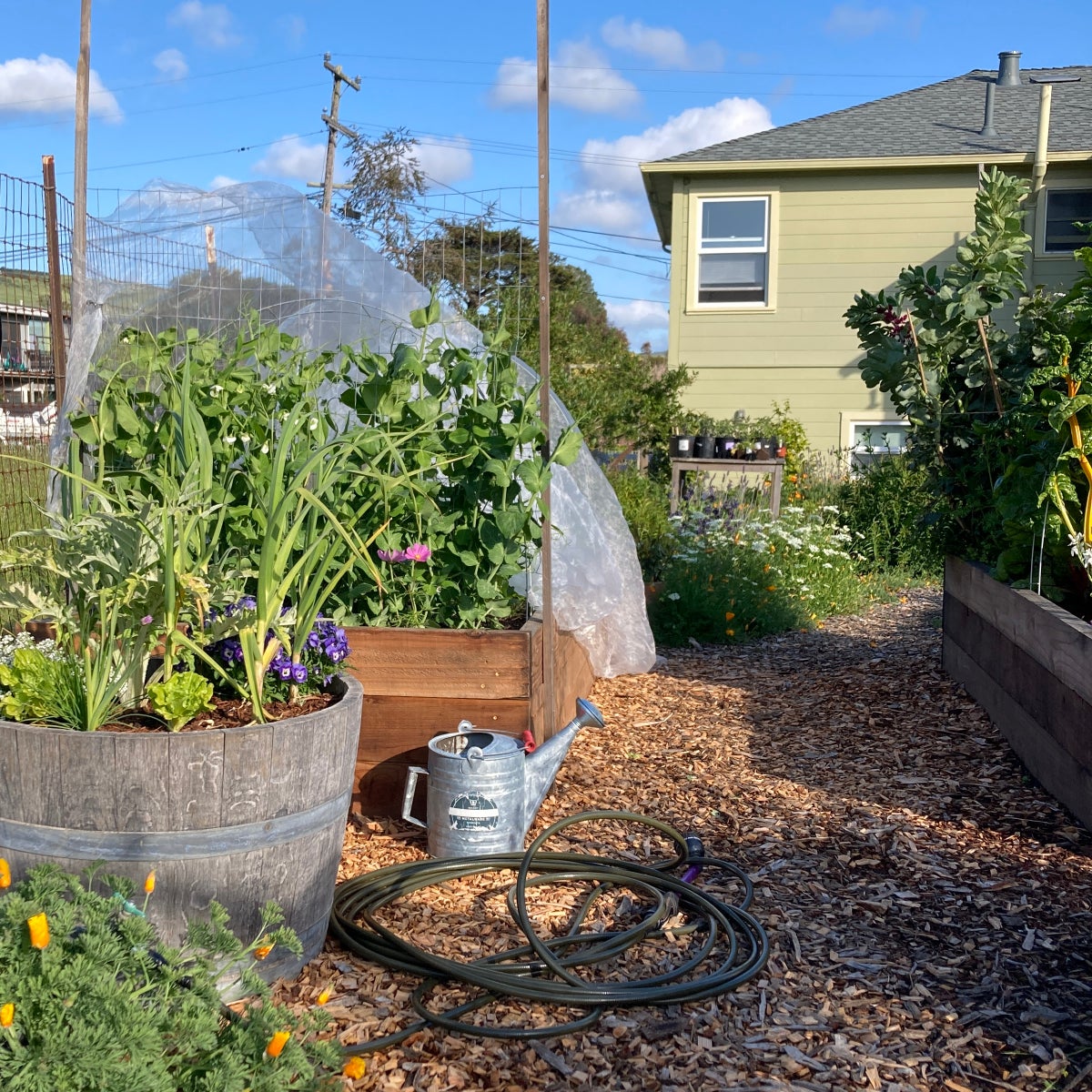 how it’s going | MLTSHP