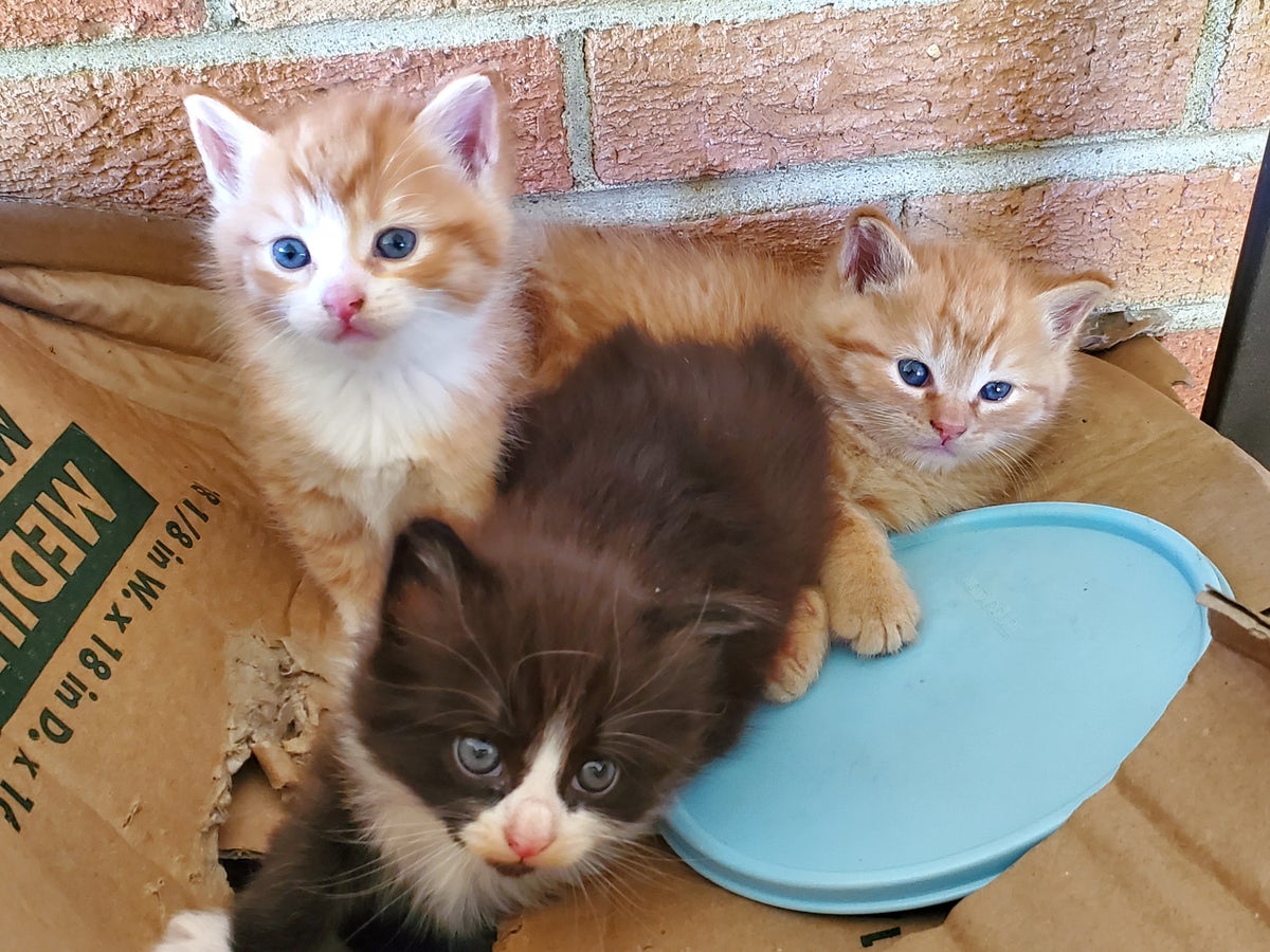 Must... resist.... | MLTSHP