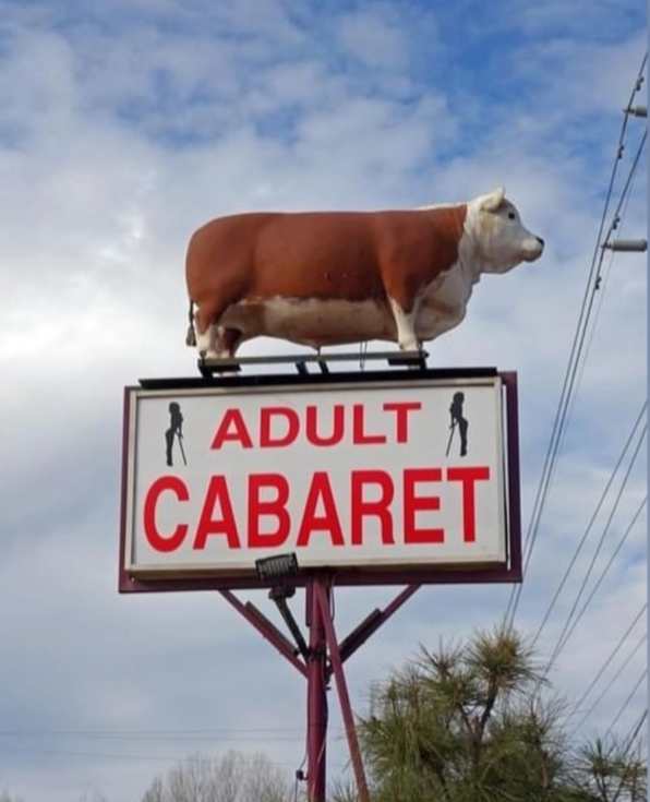 OK, maybe my first rodeo.. | MLTSHP