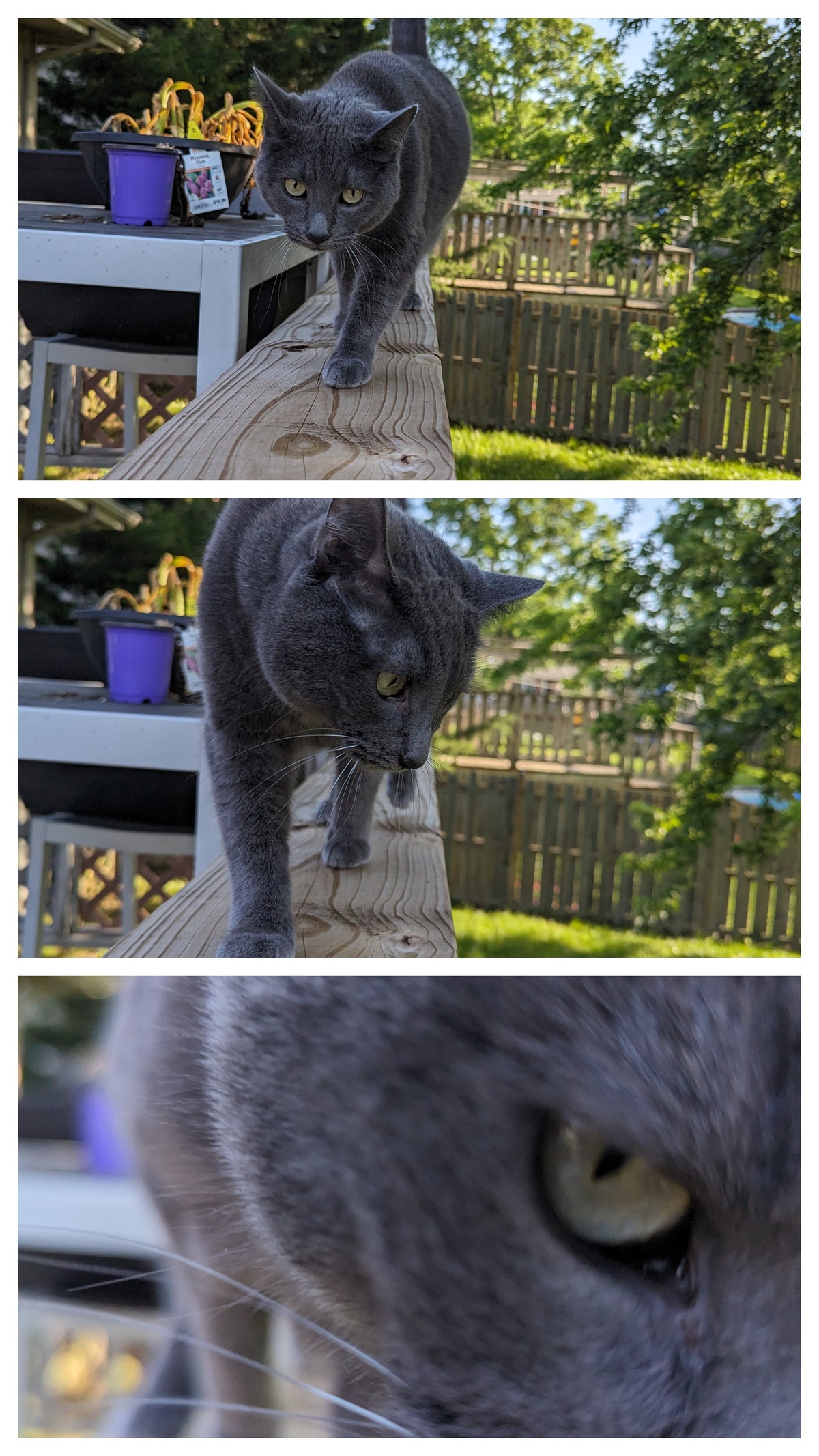 this is Sunshine | MLTSHP