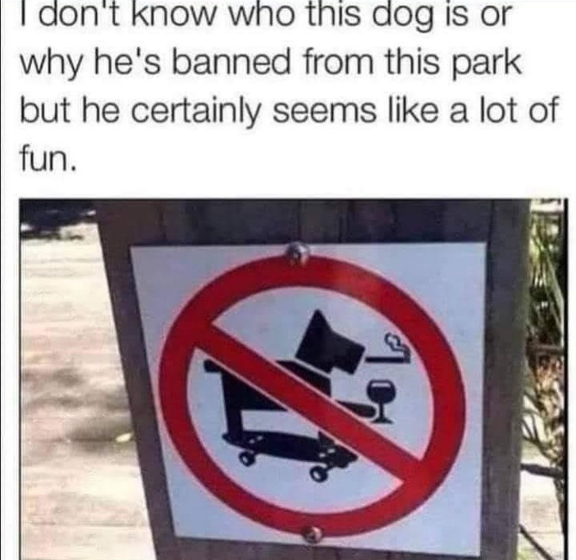 Is that you, Dog? | MLTSHP