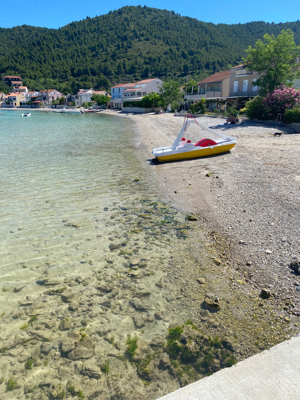 Why Not Both? | MLTSHP