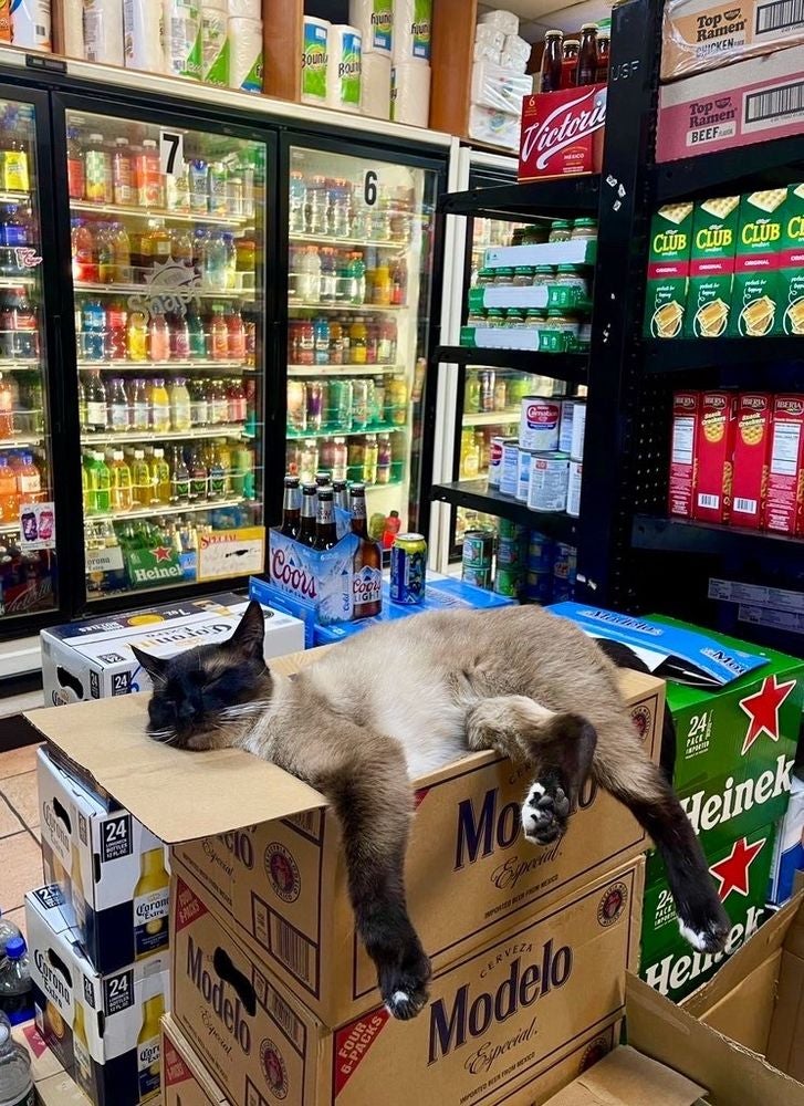 How your email finds me | MLTSHP