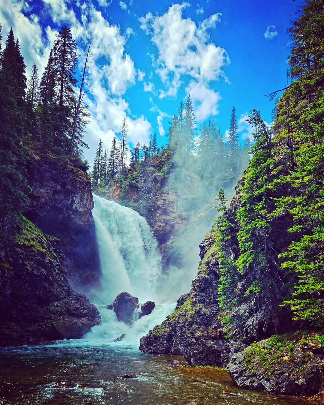 Dawn Mist Falls, Glacier National Park | MLTSHP