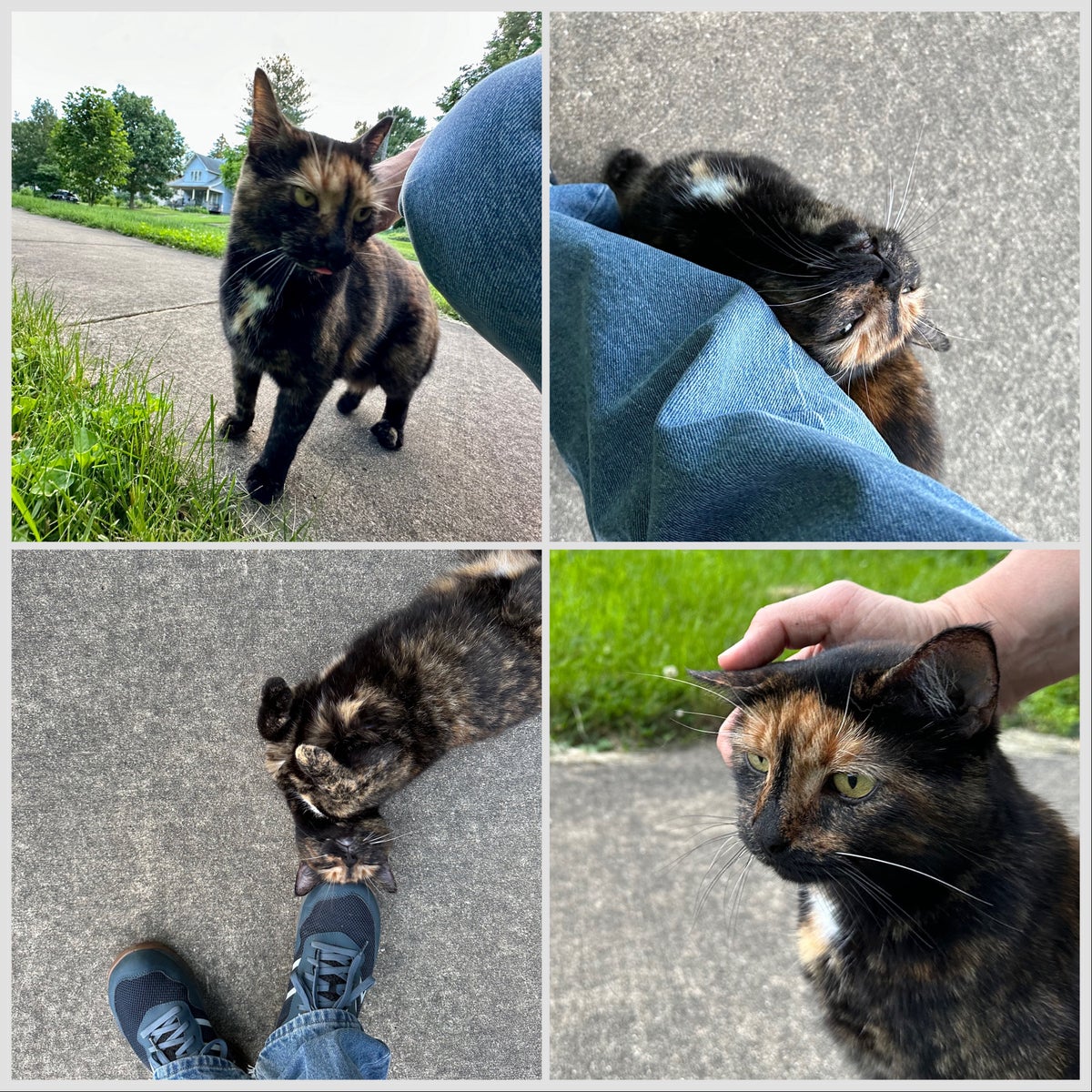 FunnyFace: a life in four acts | MLTSHP