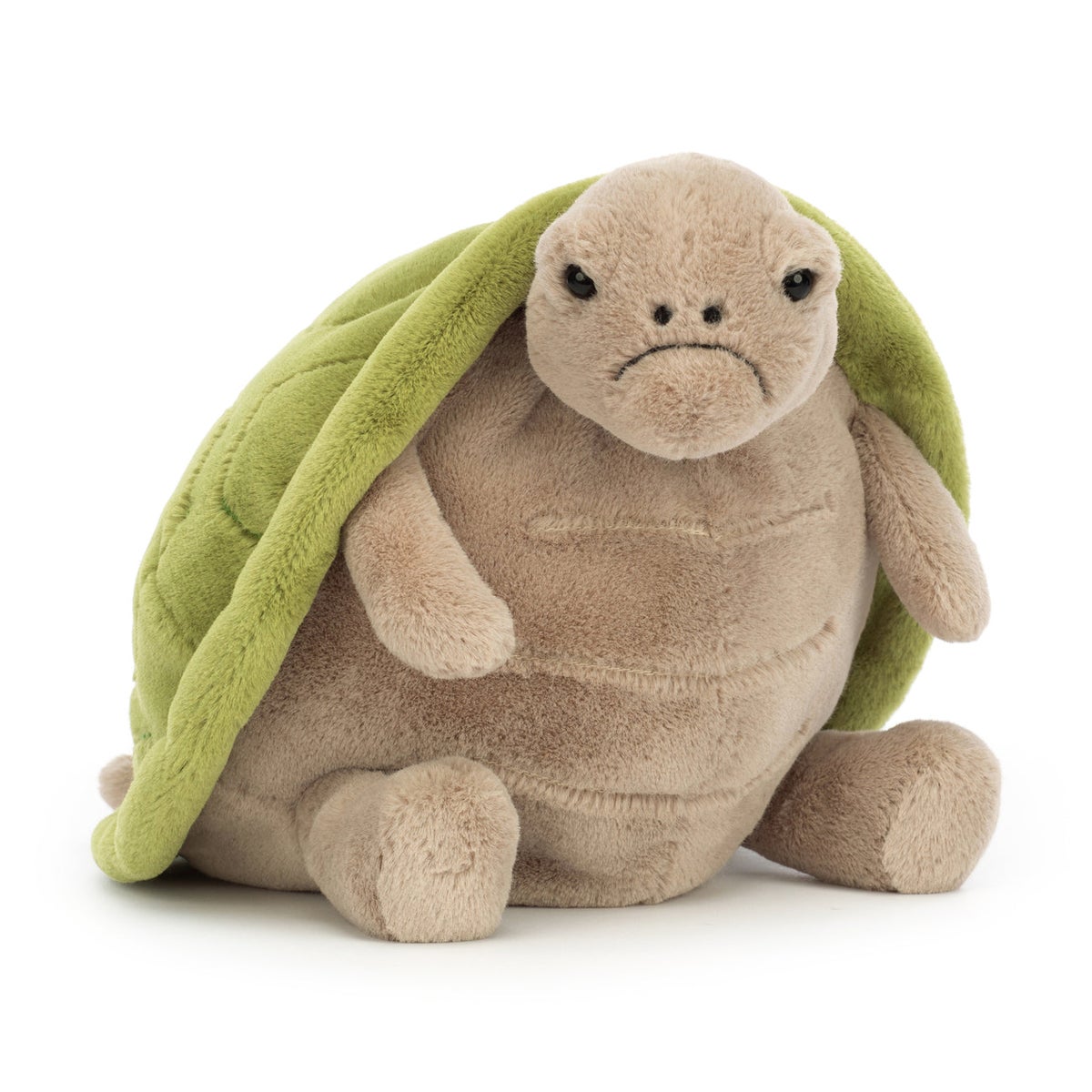 my-turtle-hates-you.com | MLTSHP