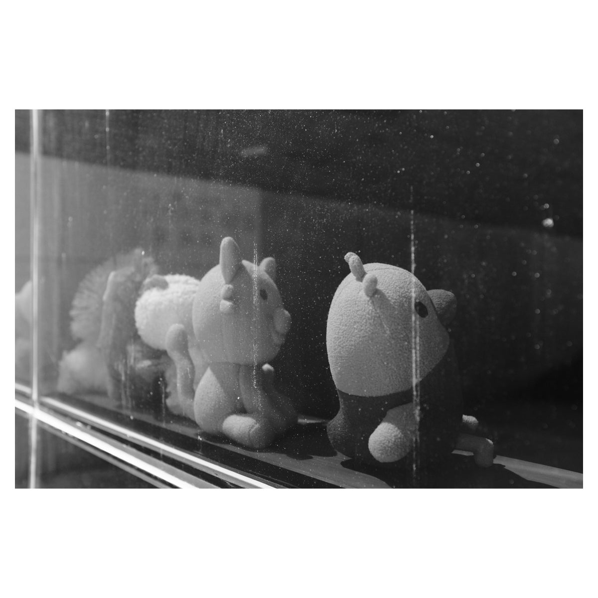 window frens | MLTSHP
