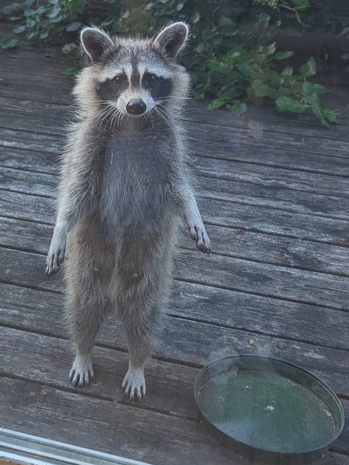 oh, hello ... | MLTSHP