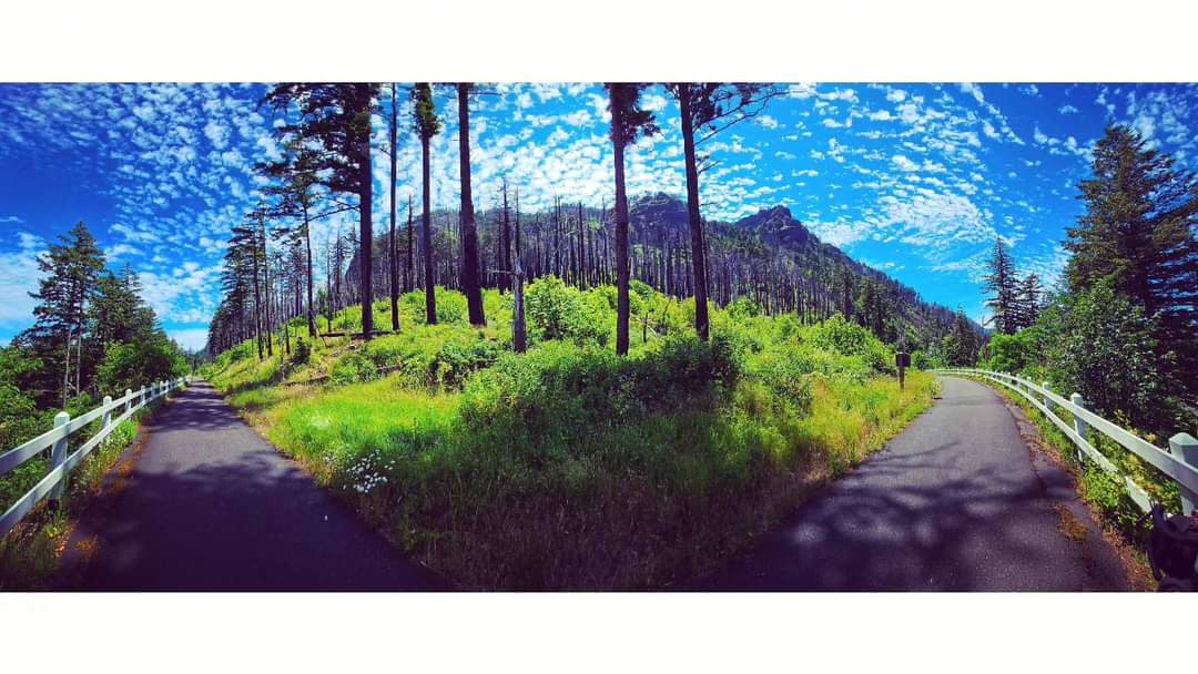 Big-Ass Bike Trip | MLTSHP