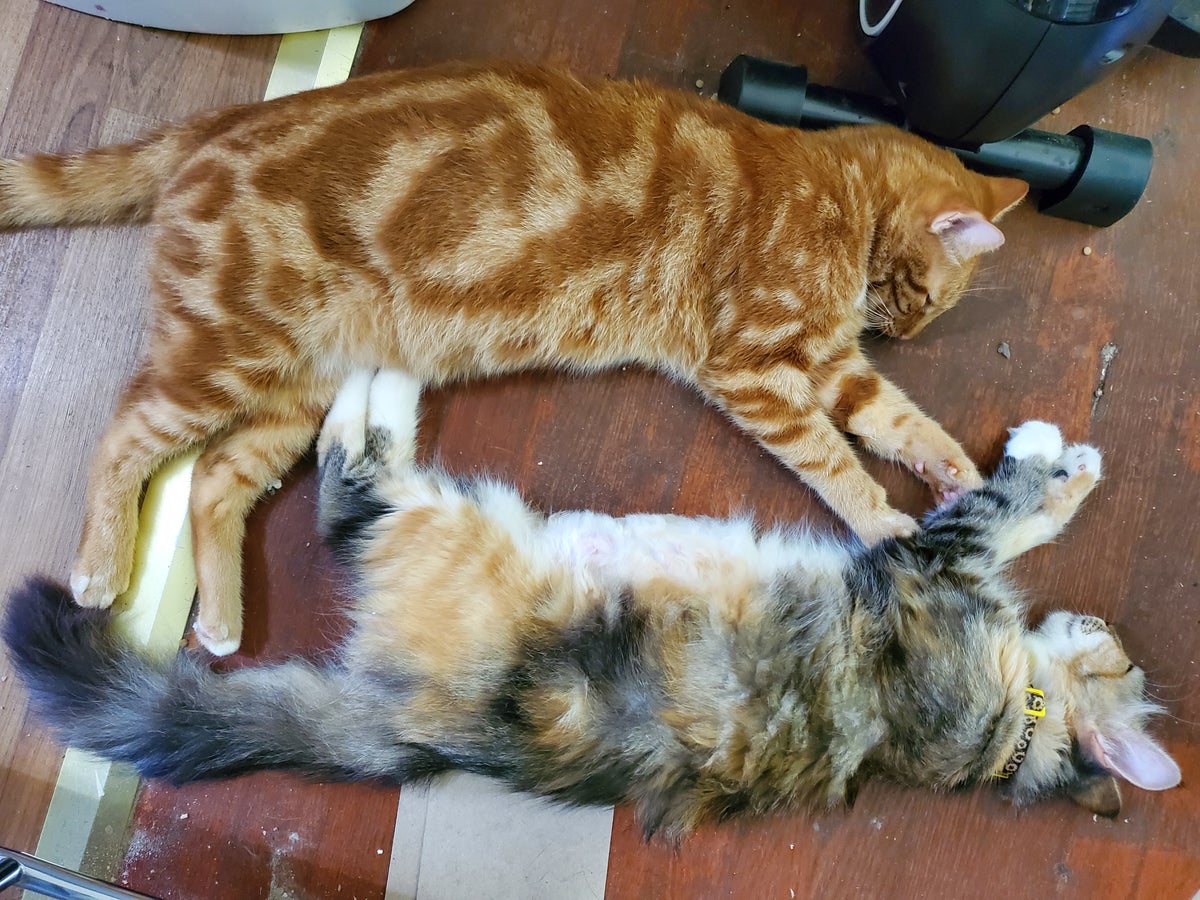 Played out.... | MLTSHP