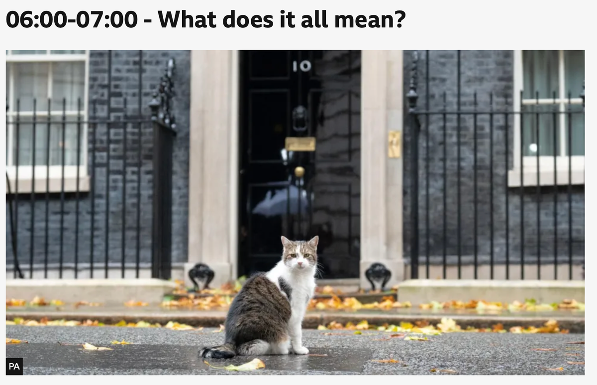 Best resident of #10 | MLTSHP