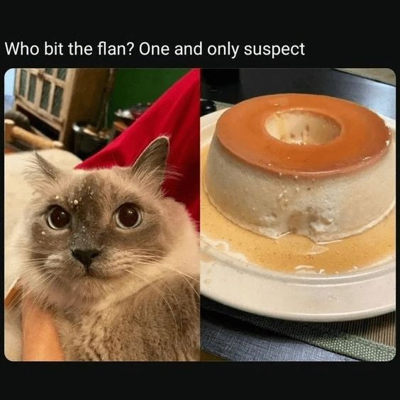 Who bit the flan | MLTSHP