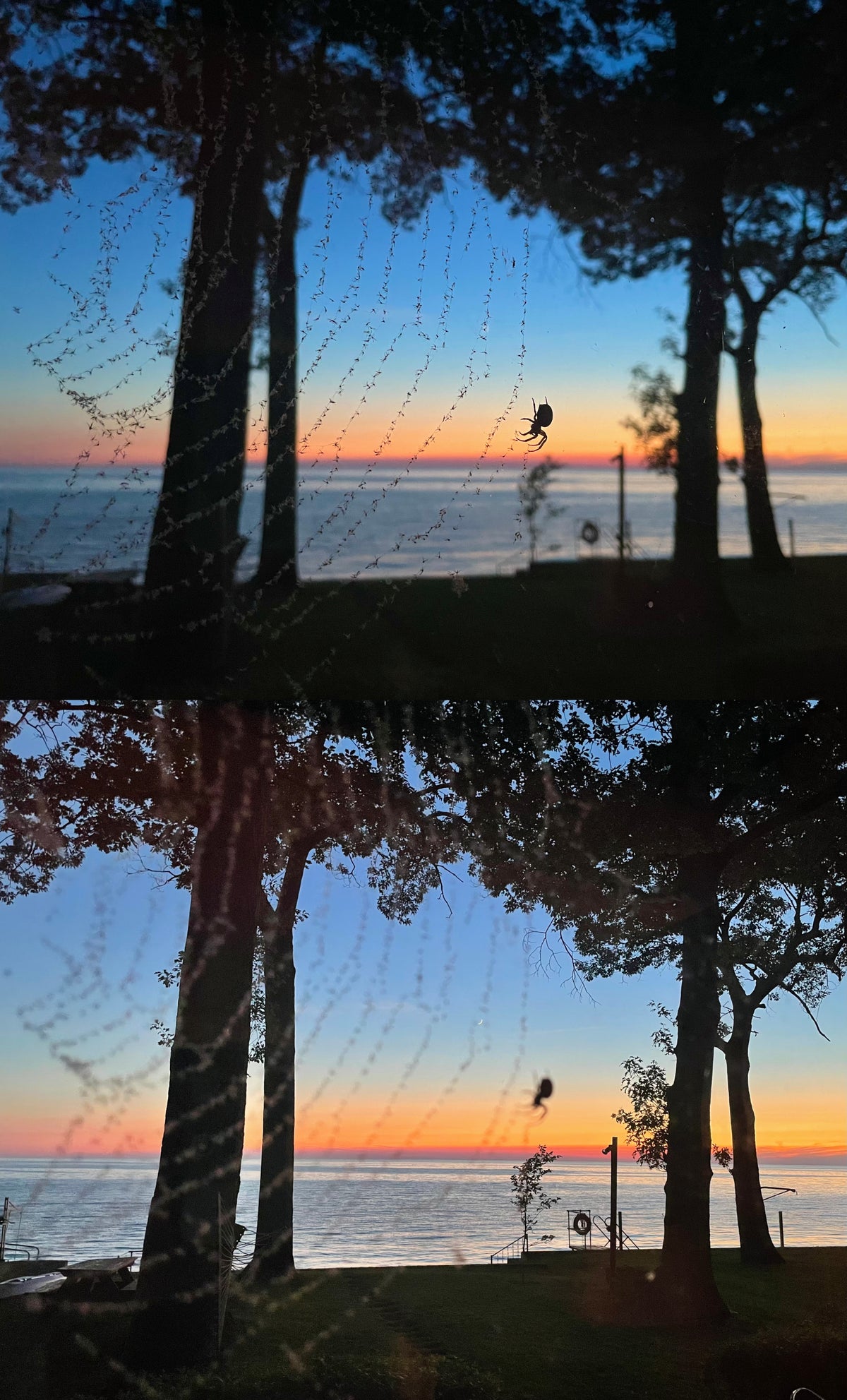 spider/lake/moon | MLTSHP