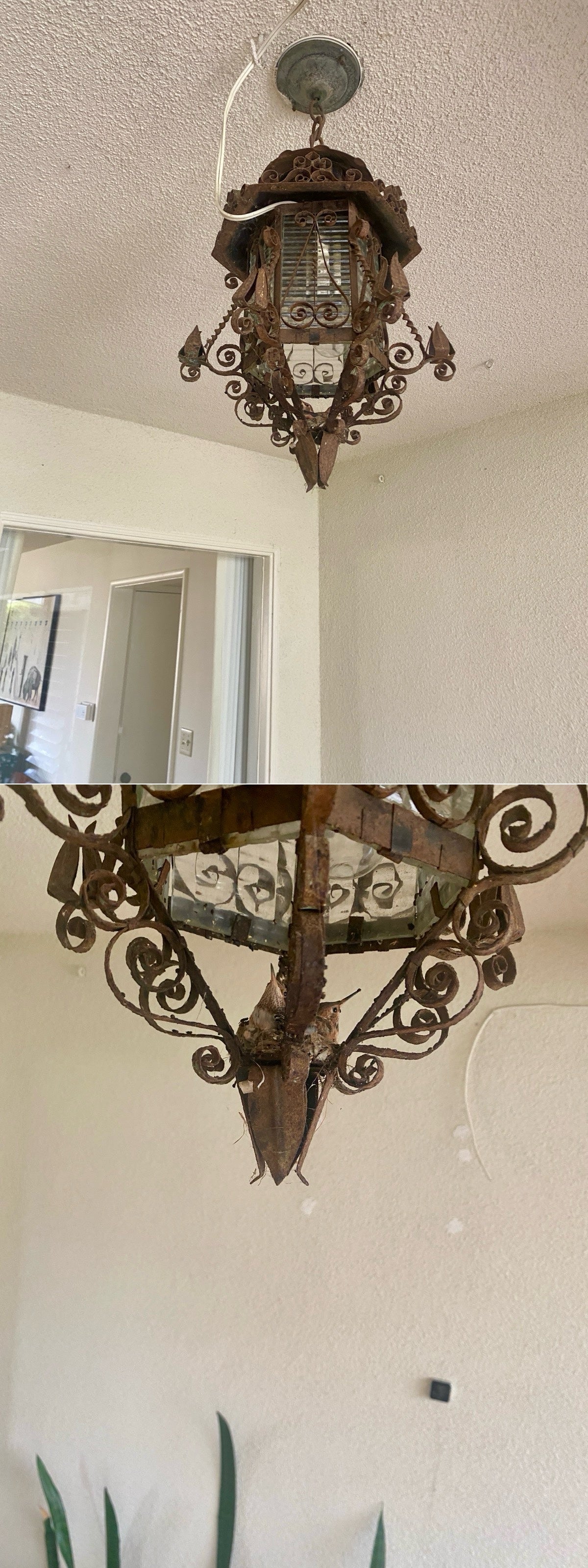 Bonny-beaked Scroll Stoppers | MLTSHP