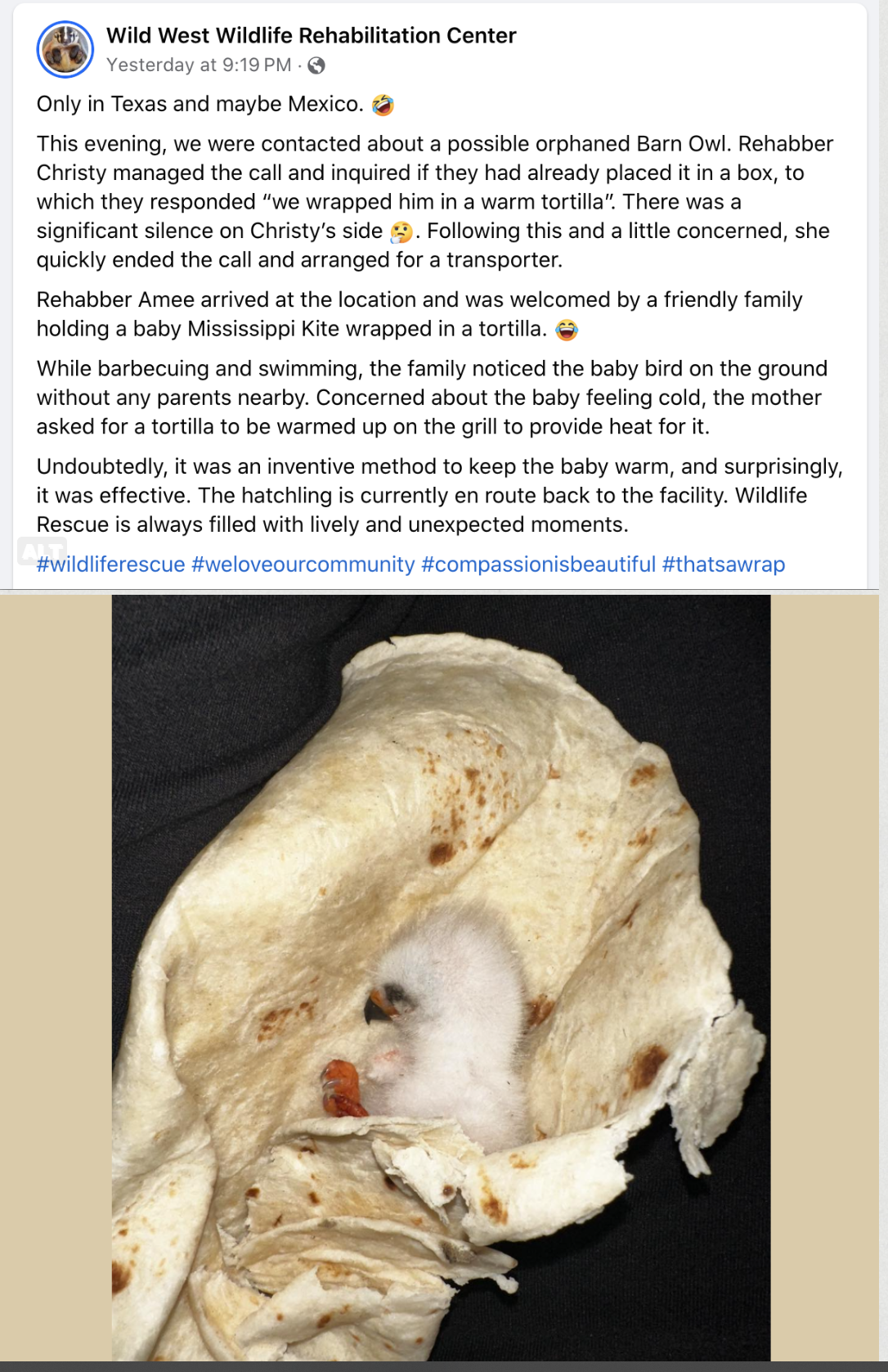 you think you're prepared for the image | MLTSHP