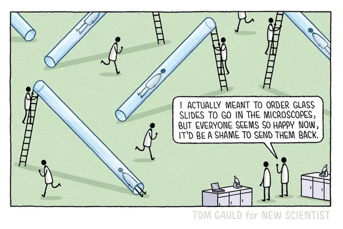 I love Tom Gauld | MLTSHP