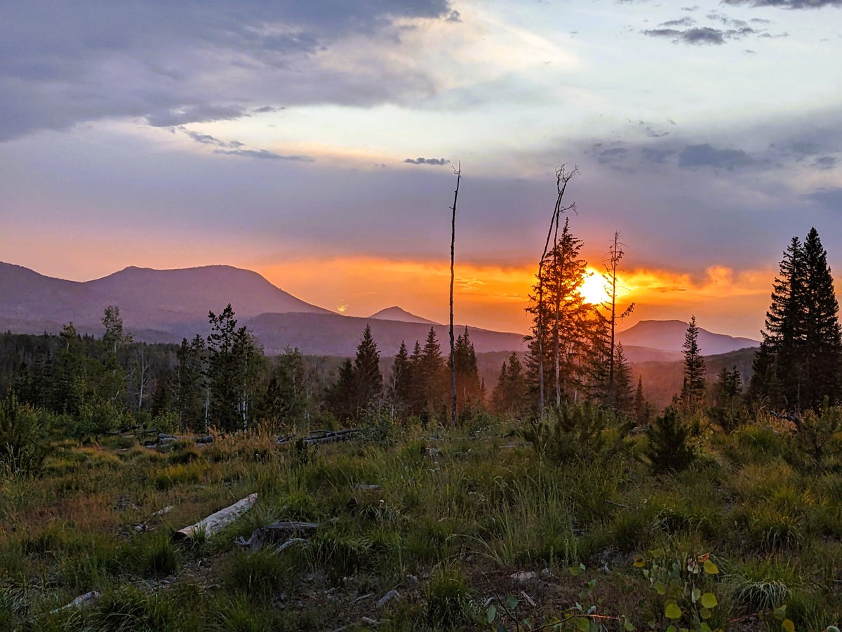 Crowdstrike Sunrise | MLTSHP