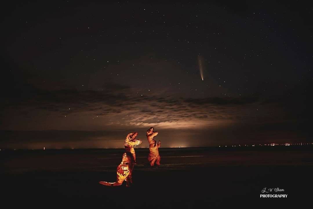 Wish upon a star | MLTSHP