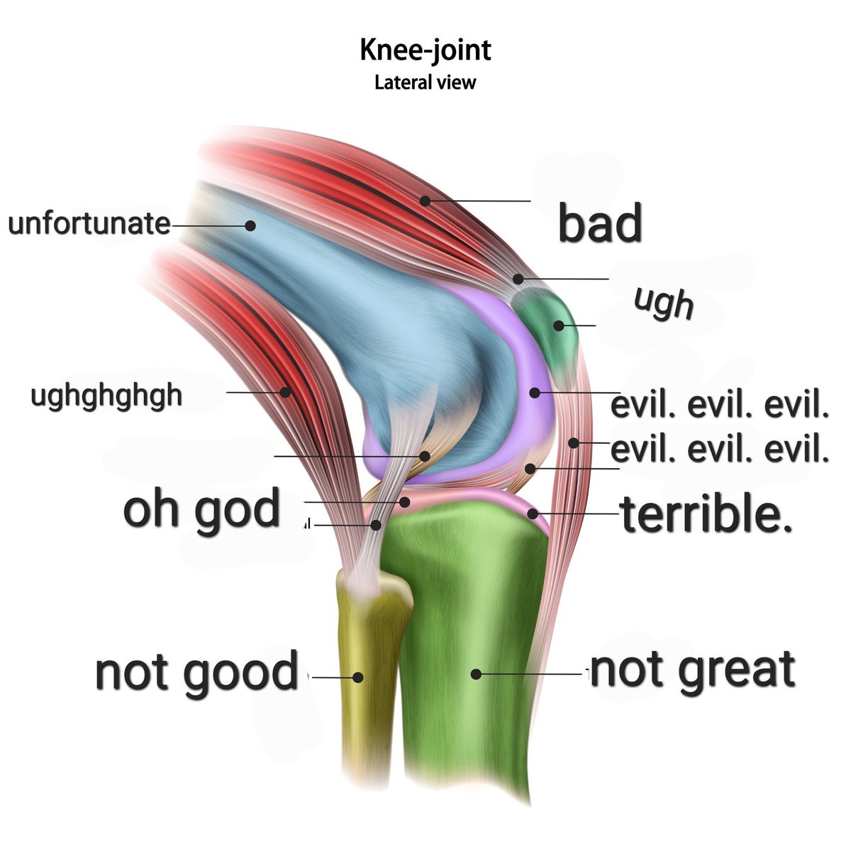 every time someone says humans are "the pinnacle of evolution" | MLTSHP
