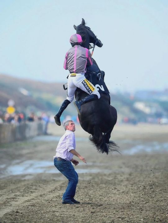 Ever take it off any sweet jumps? | MLTSHP