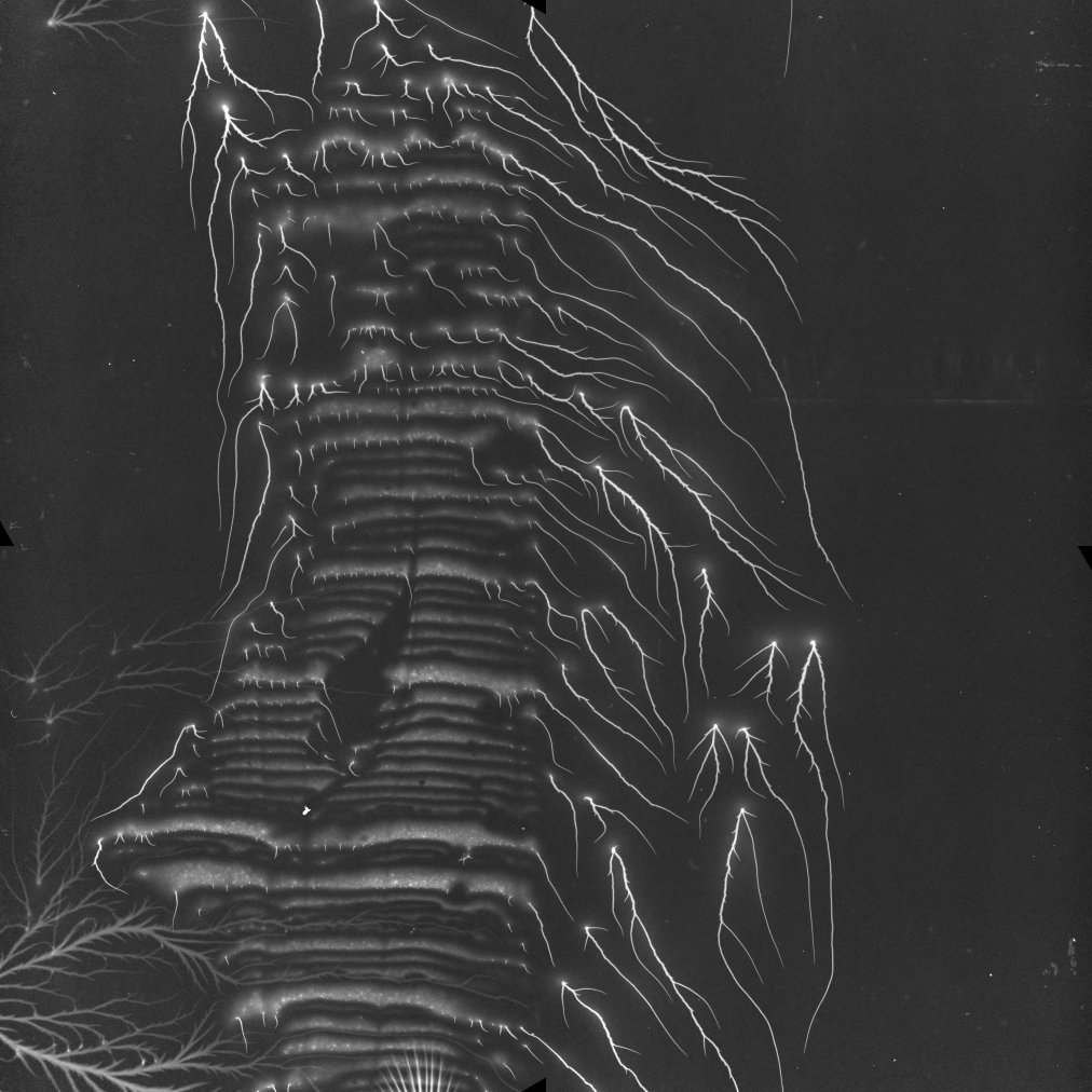 space static | MLTSHP