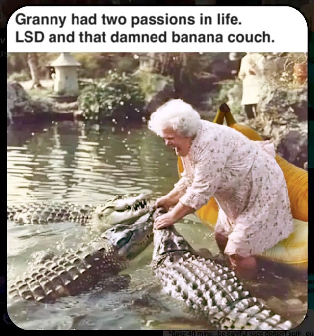 2024. Year of the Couch Passion | MLTSHP