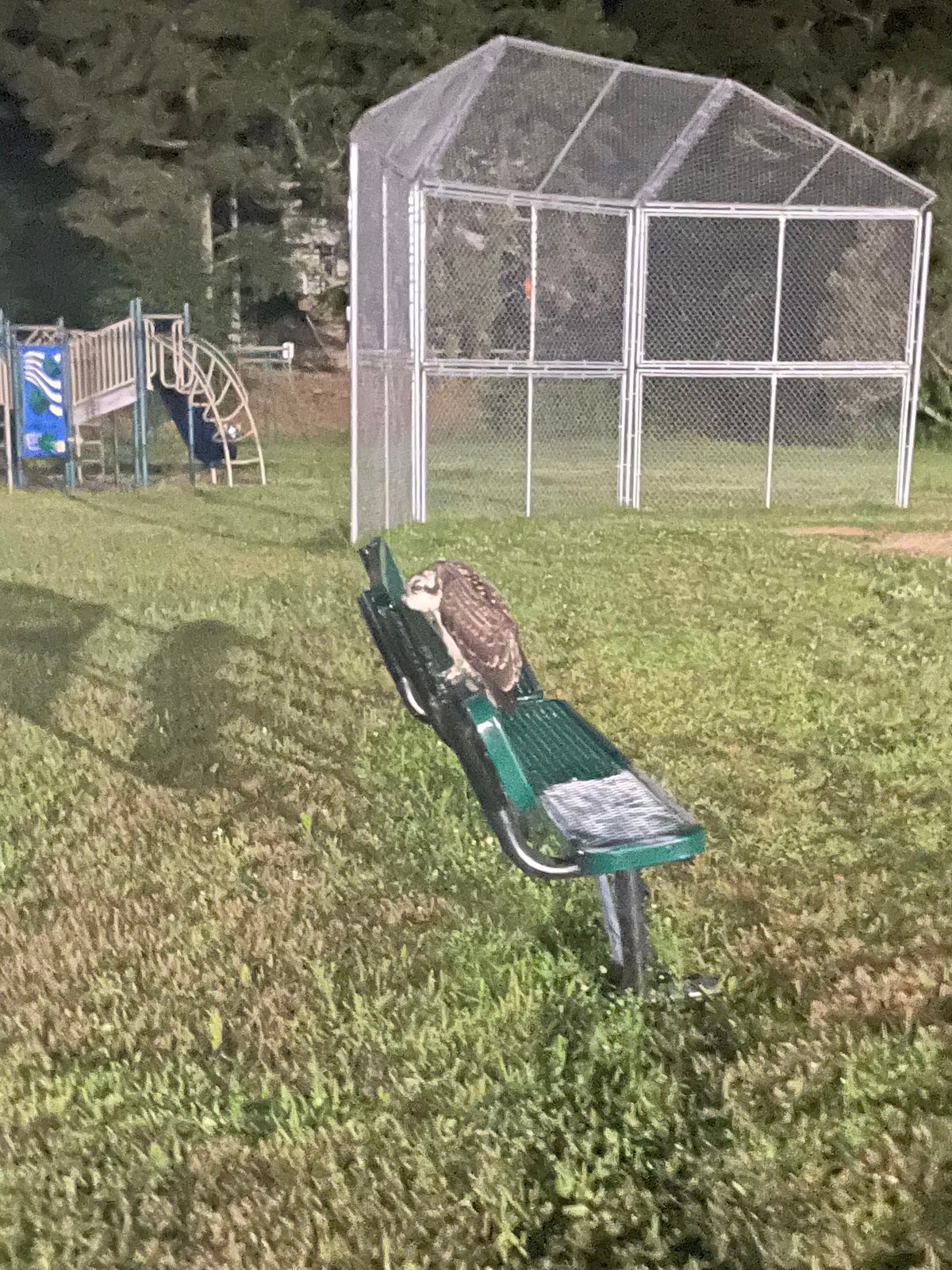 I made a friend… | MLTSHP