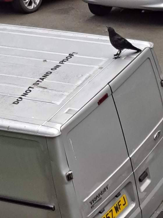 anarchy in the uk | MLTSHP