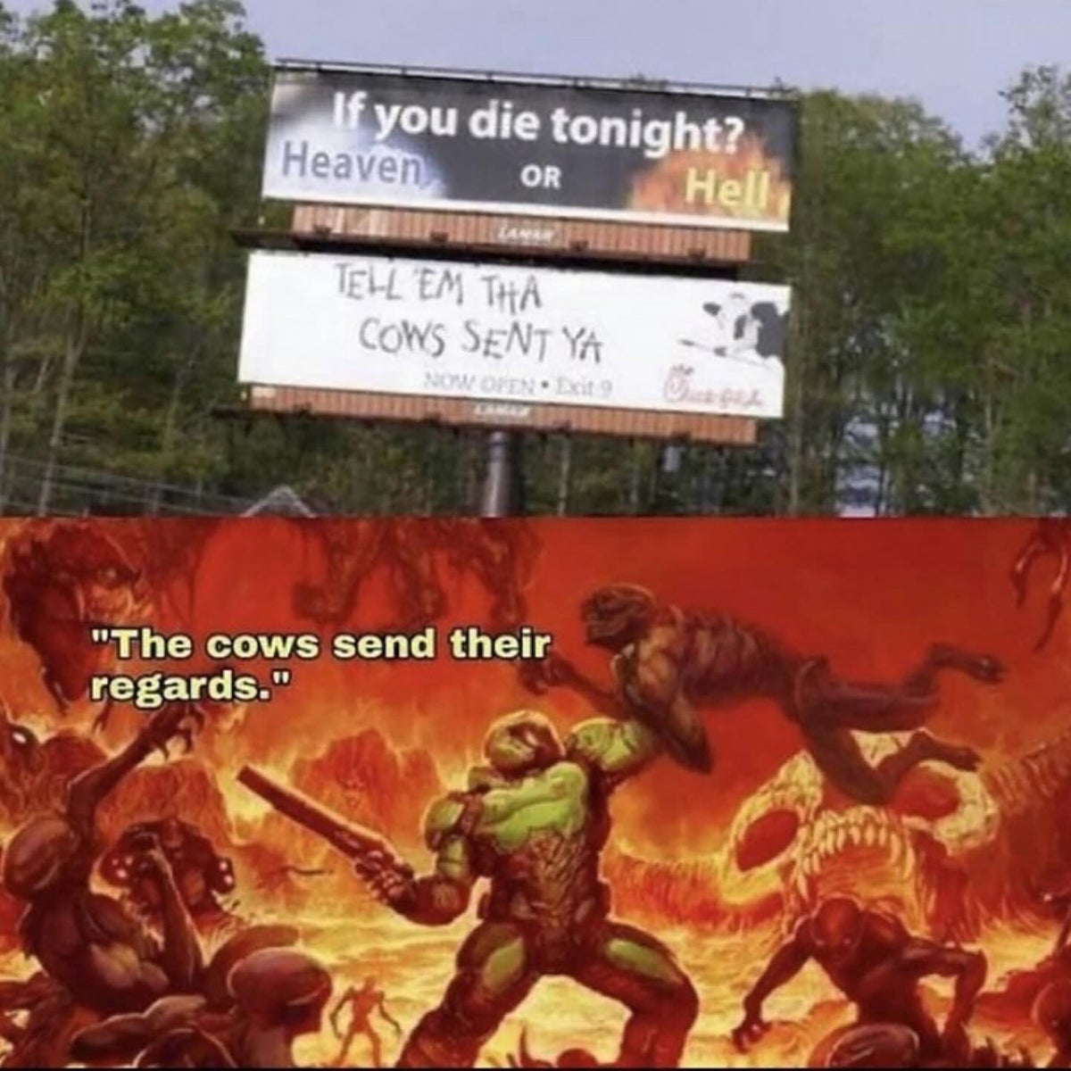 The cows send their regards. | MLTSHP