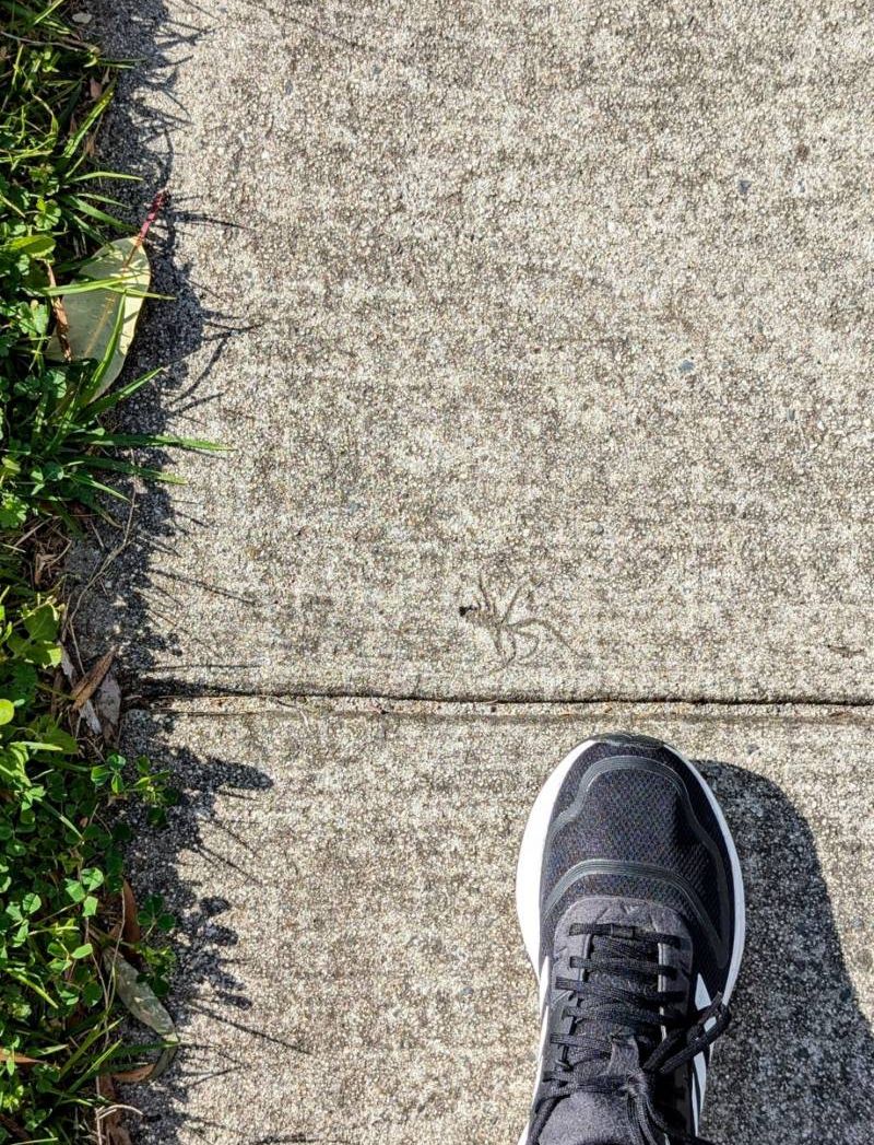 Welcome to Australia | MLTSHP