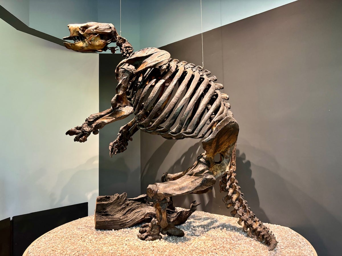 Hey you guys! | MLTSHP