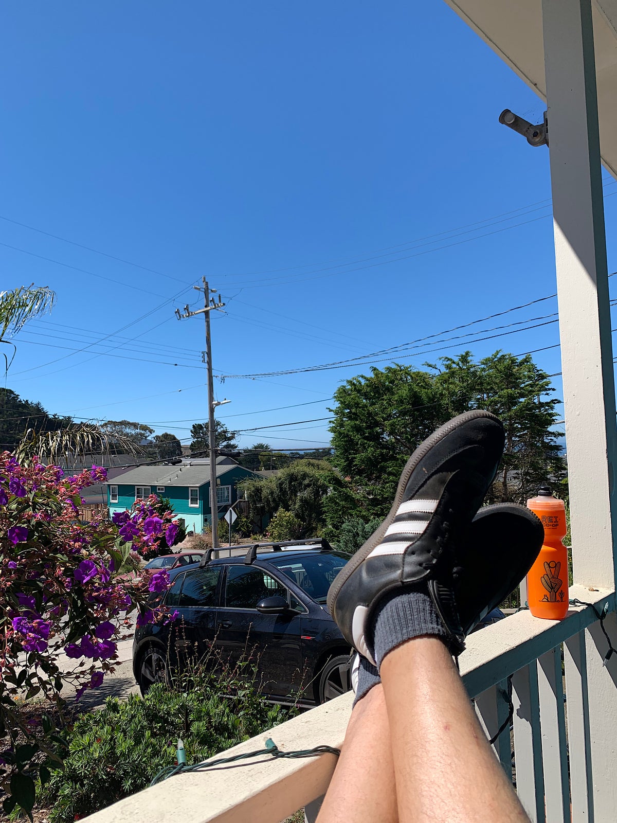 current status | MLTSHP