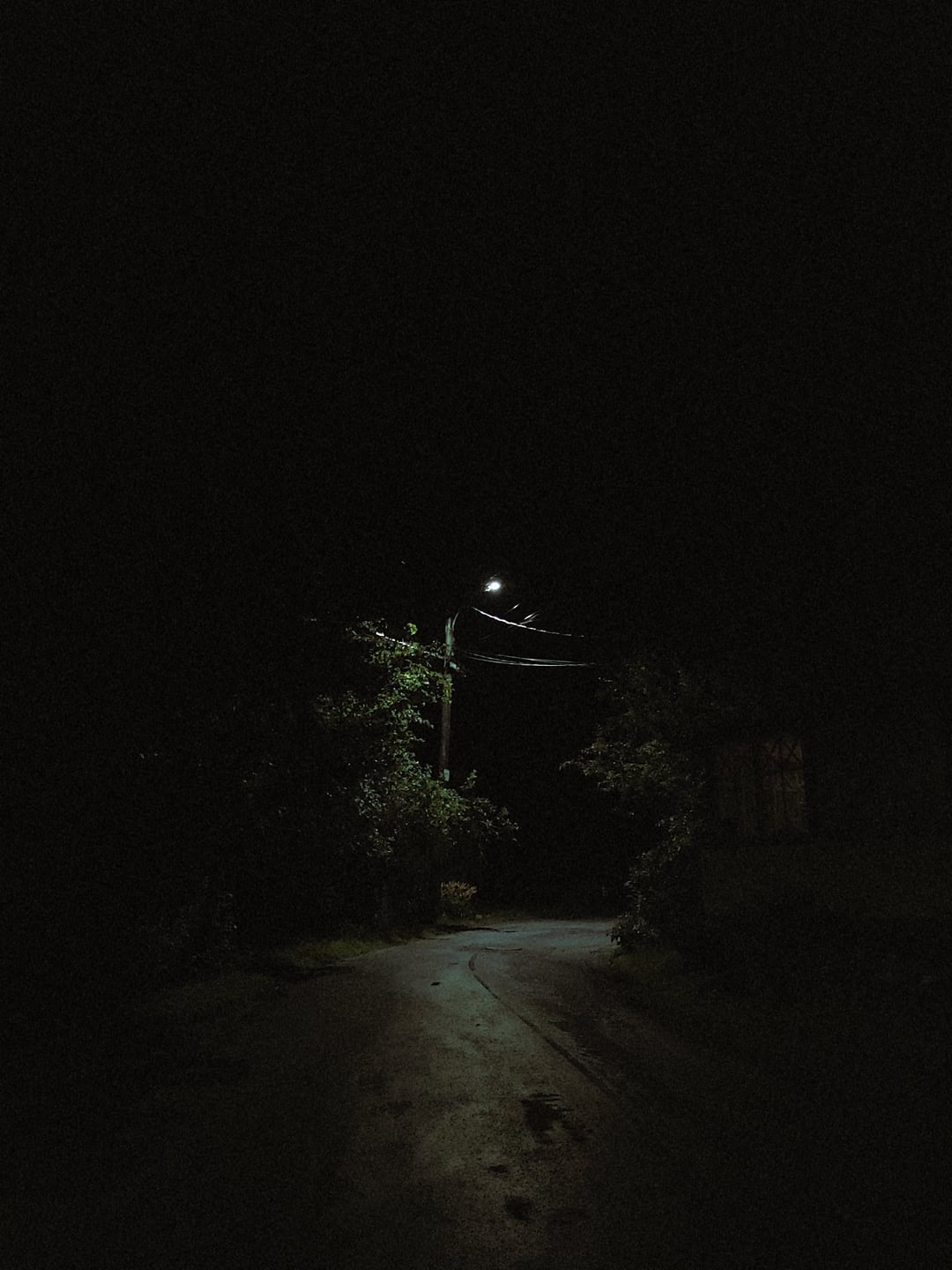 they'll never find you | MLTSHP