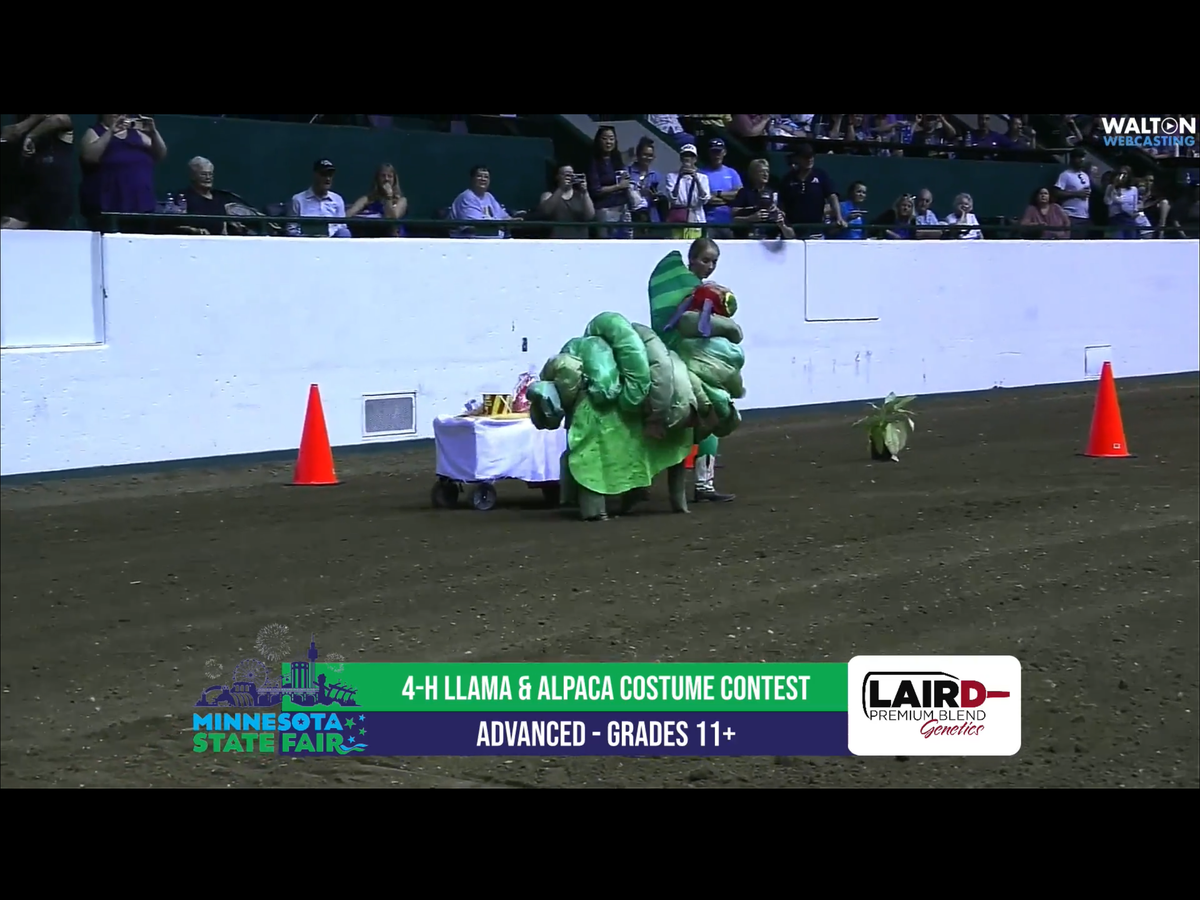 RIGHT THE FUCK NOW | MLTSHP