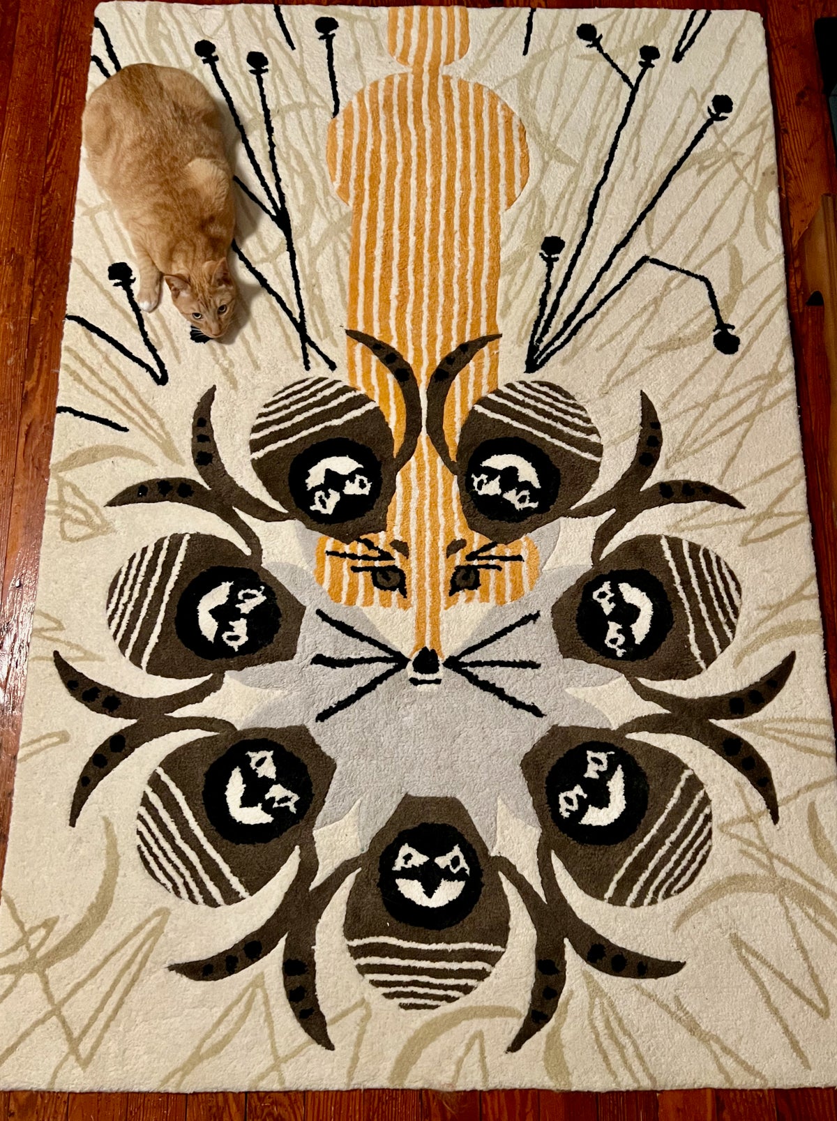 Yoshi wants to catch a quail | MLTSHP