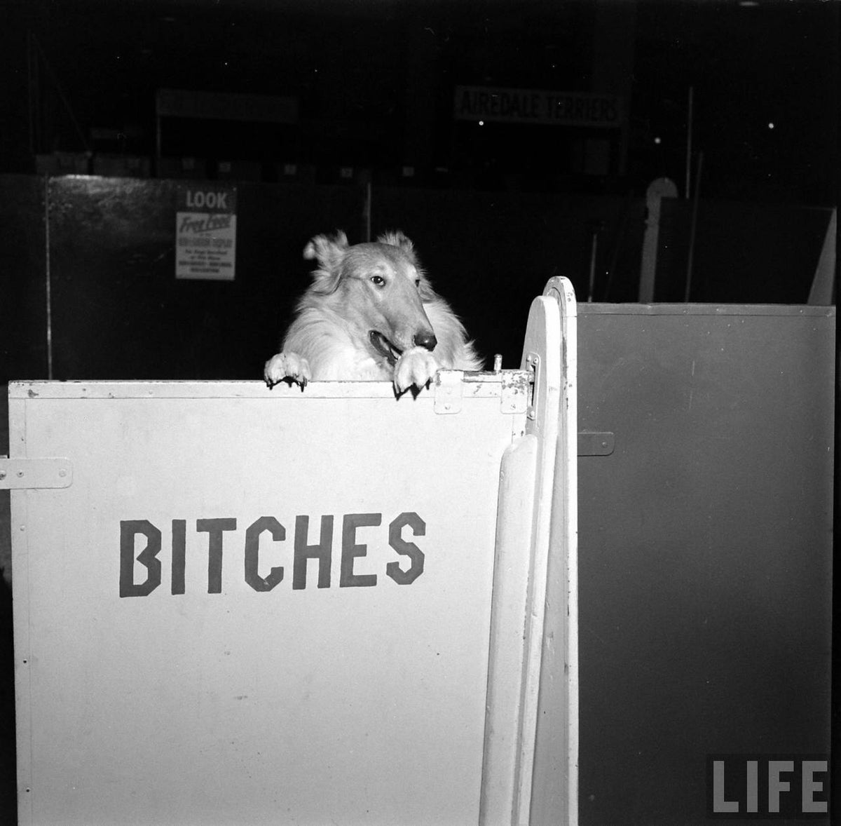 That's right. It's me. I'm... | MLTSHP