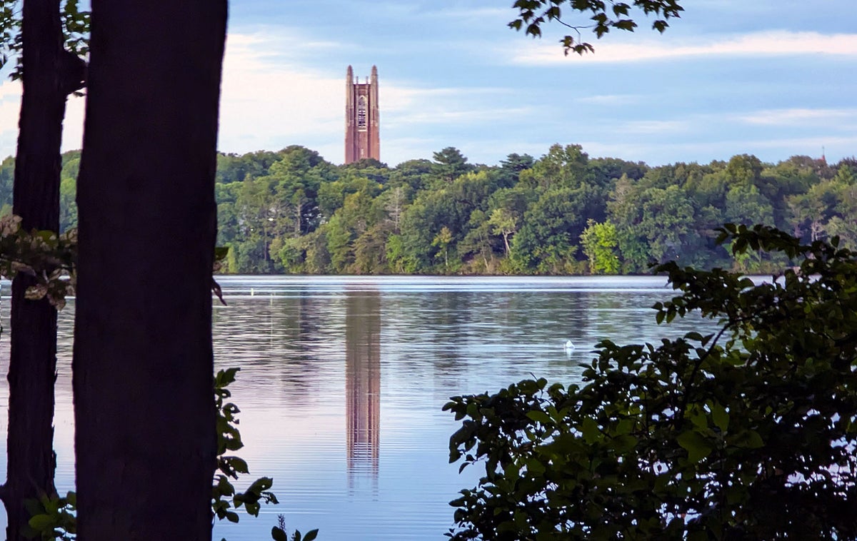 WellesleyelselleW | MLTSHP