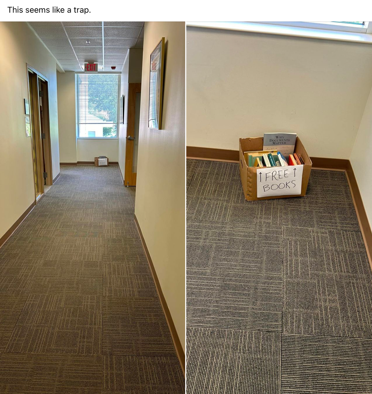 This is how they'll get me | MLTSHP