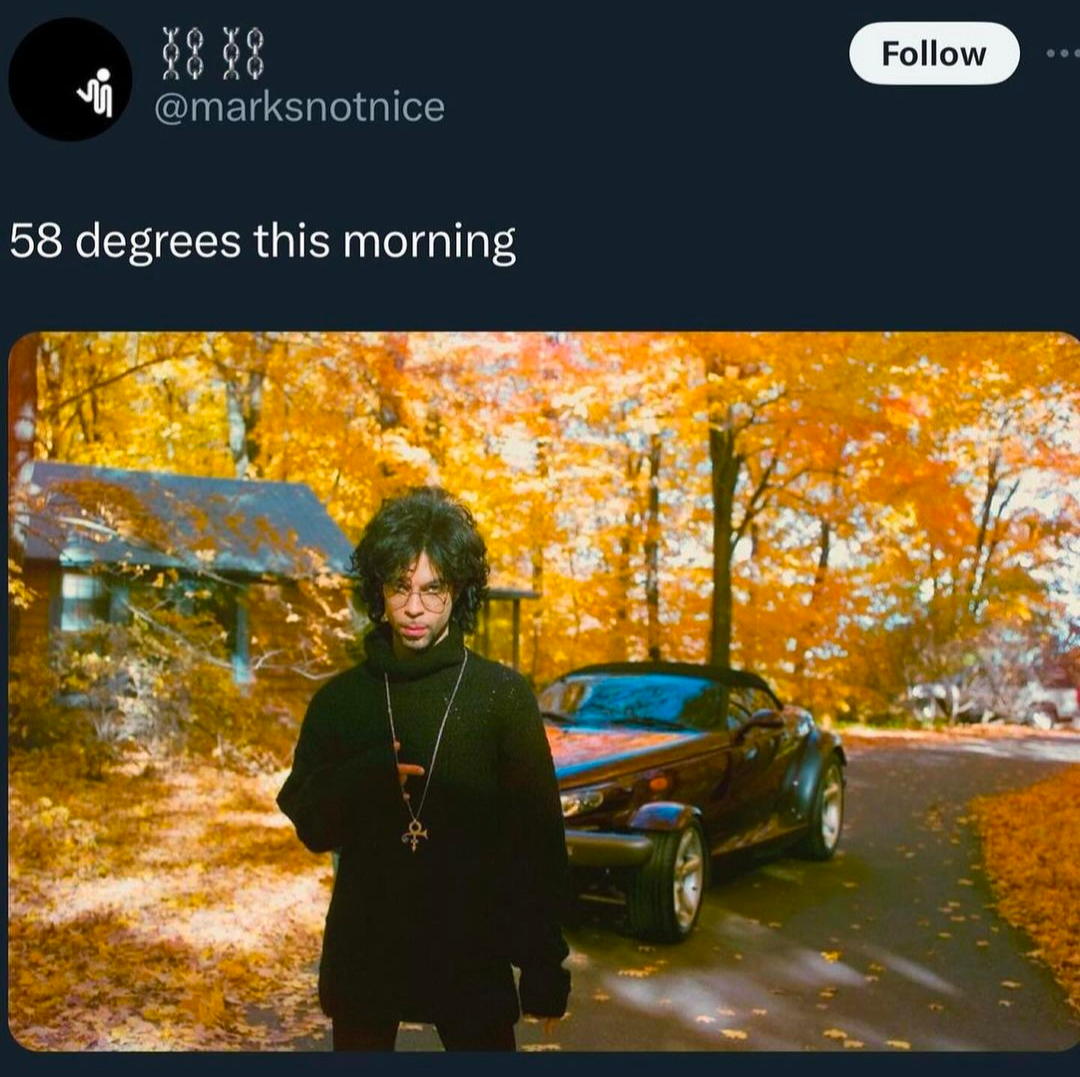 Don't you wanna fall in love tonight? | MLTSHP