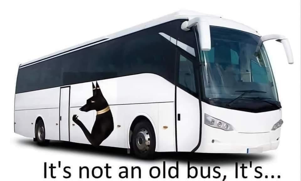 Egyptian dad joke | MLTSHP