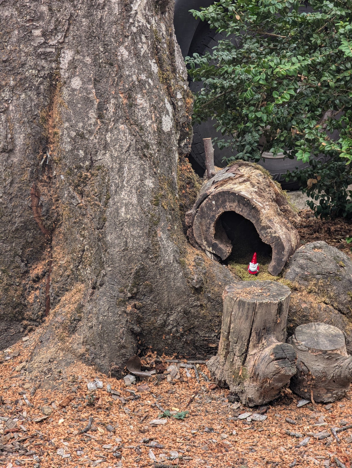 Gnome Infestation | MLTSHP